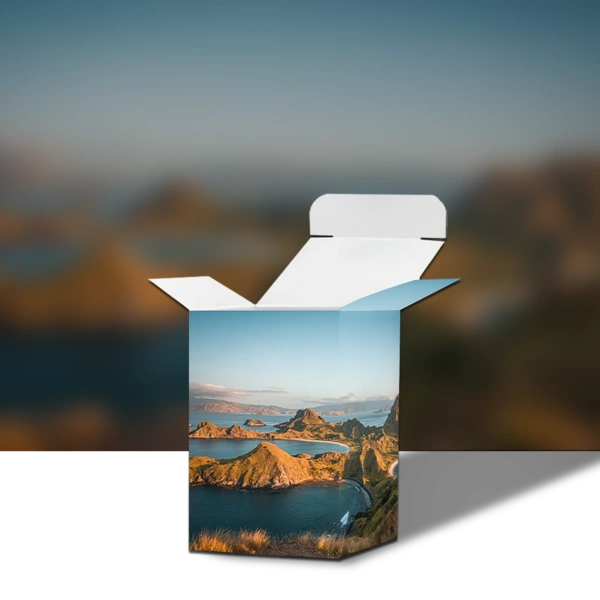 Crash Lock Promotional Boxes | John Brailsford Printers
